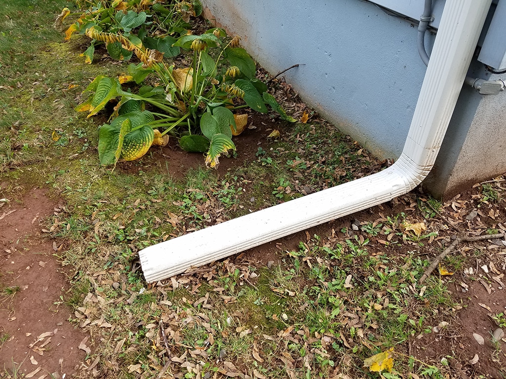 Keep Water Out of Your Basement: Extend Your Downspouts | ProMaster ... Keep Water Out of Your Basement: Extend Your Downspouts | ProMaster ...